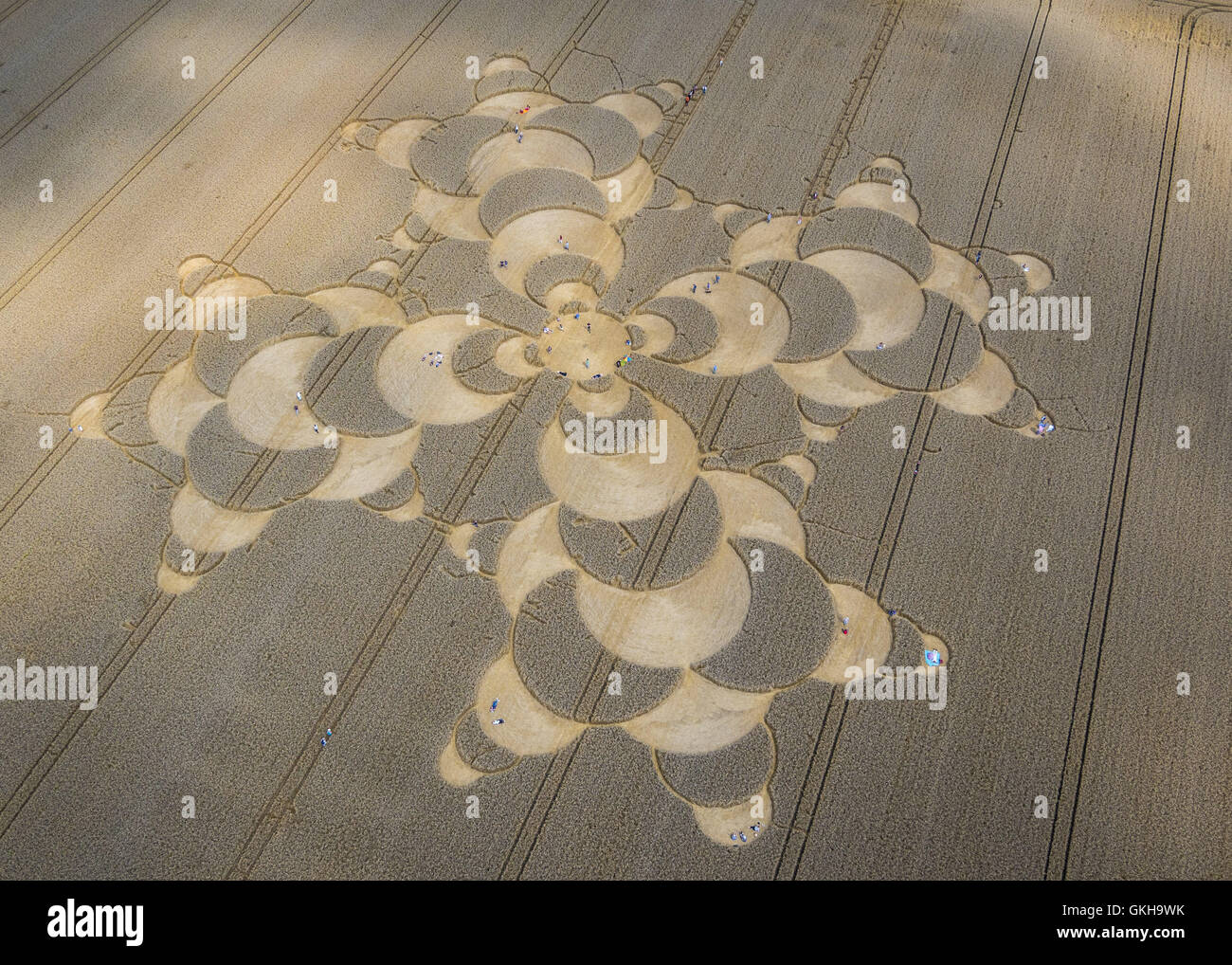 Crop Circle in cornfield near Mammendorf, Bavaria, Germany Stock Photo ...