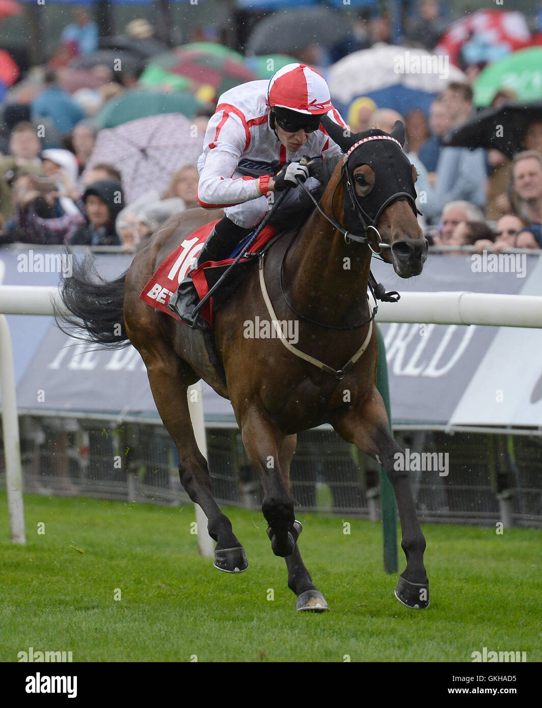 Scarlet dragon horse hi-res stock photography and images - Alamy