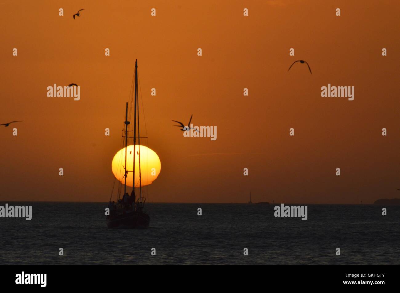 The burning sun Stock Photo - Alamy