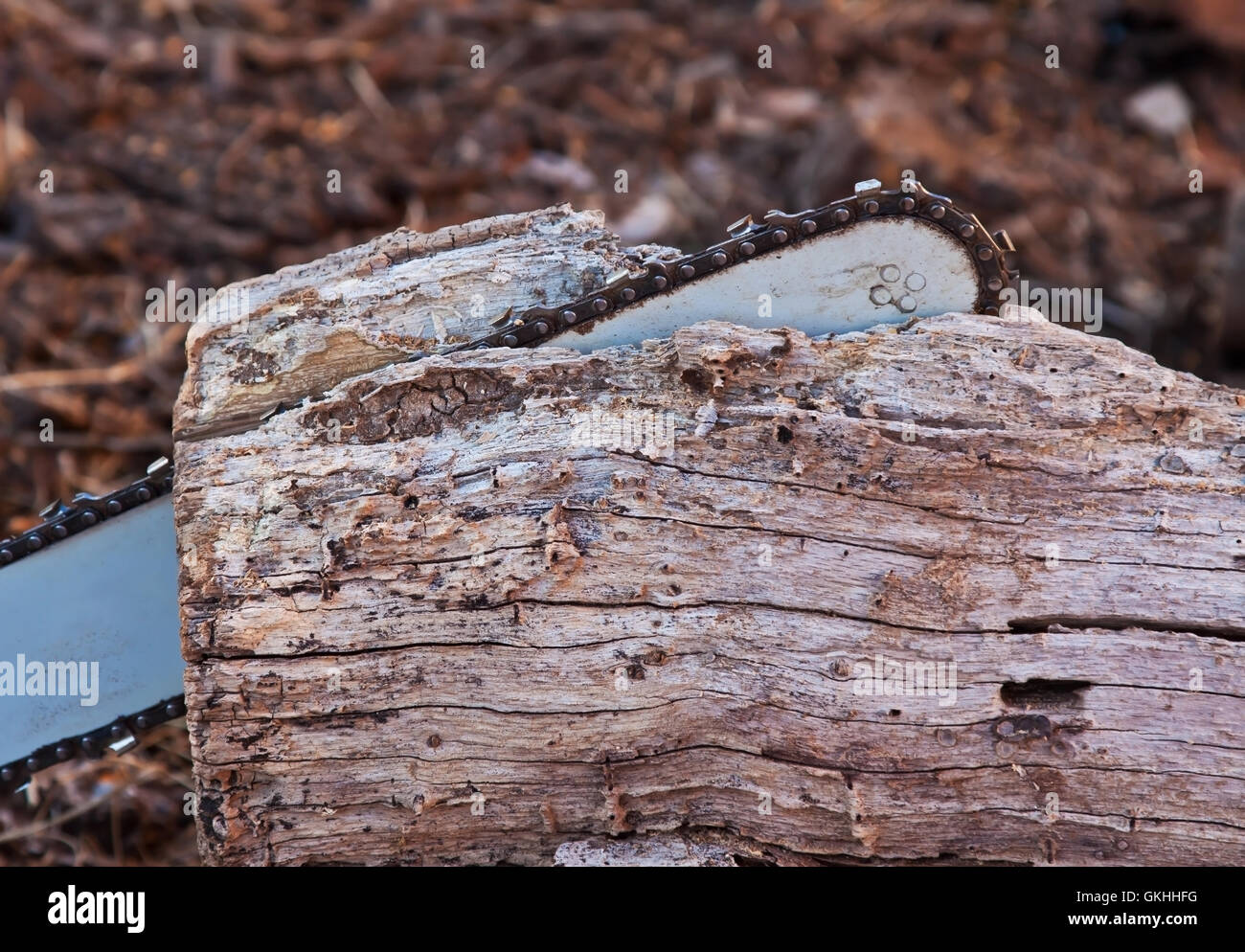 Construction chainsaw hi-res stock photography and images - Alamy