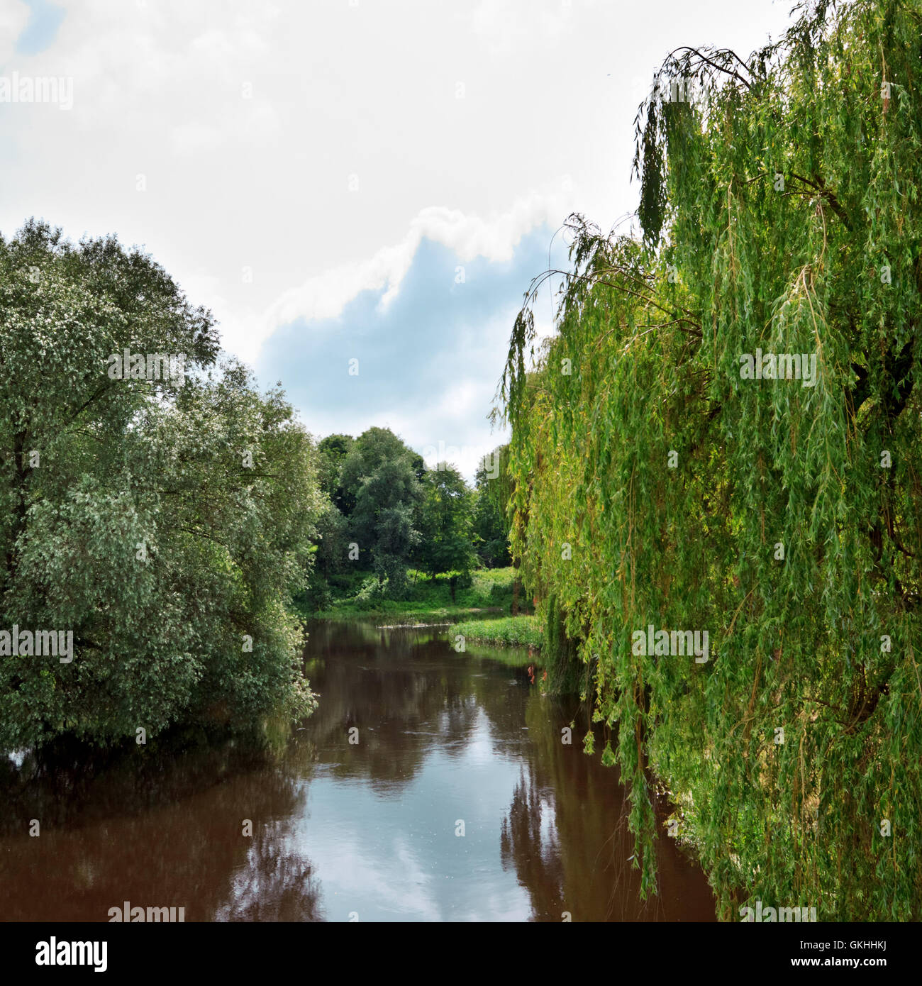 river in forest Stock Photo - Alamy