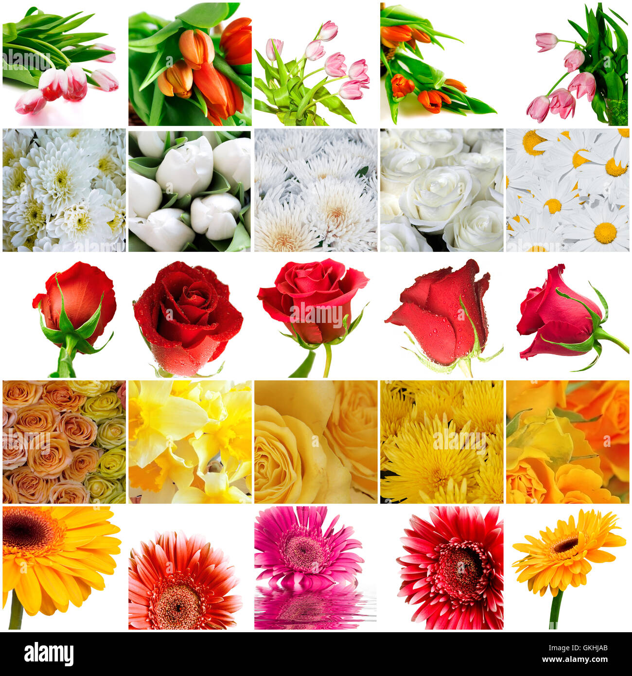 Many beautiful bright flowers Stock Photo - Alamy