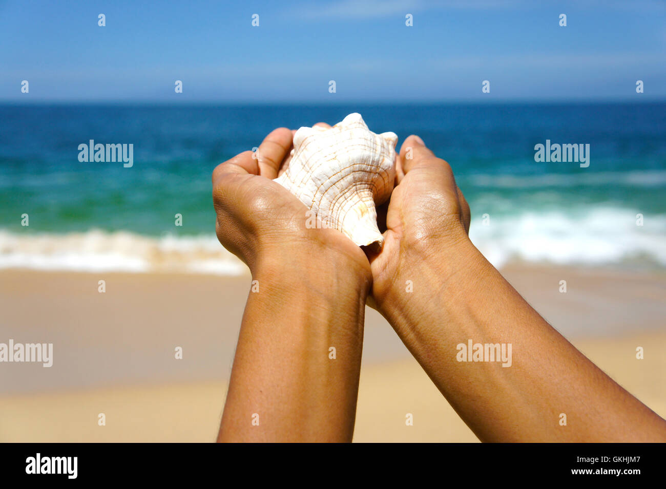 Salt water arm hi-res stock photography and images - Alamy