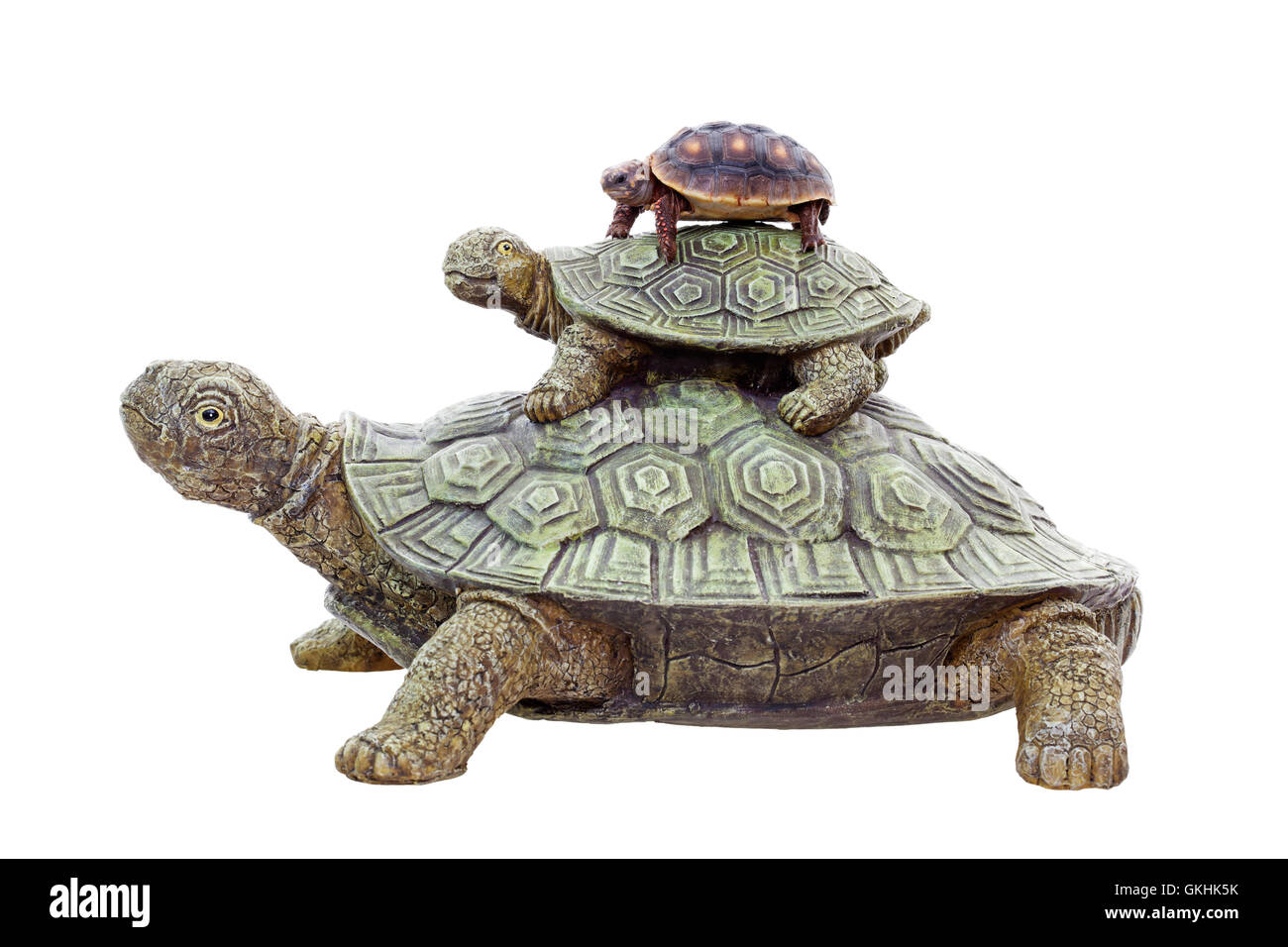 Red Footed Tortoise on Top Stock Photo - Alamy