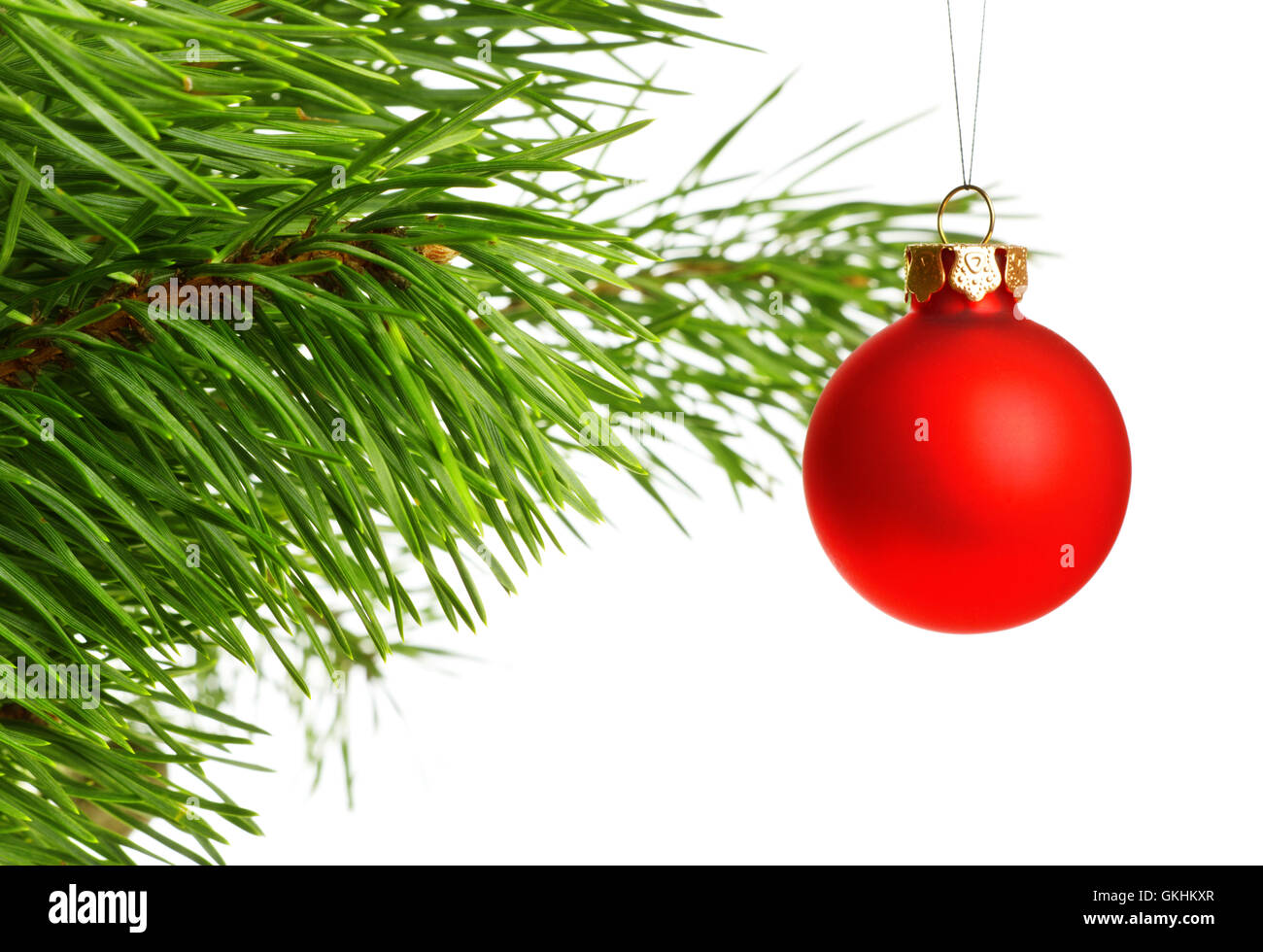 red decoration ball on pine branch Stock Photo - Alamy