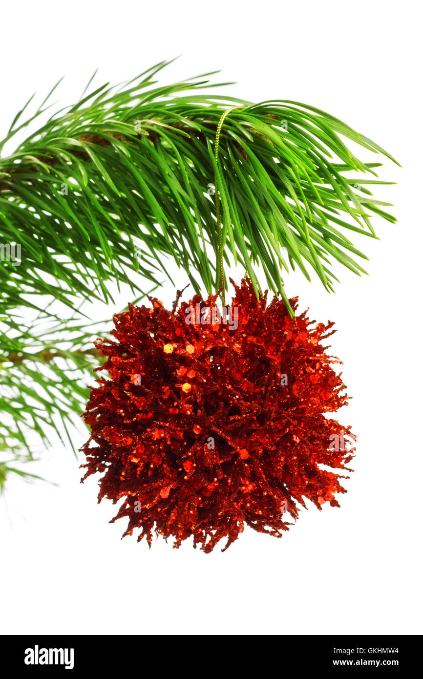 decoration ball on pine branch Stock Photo - Alamy