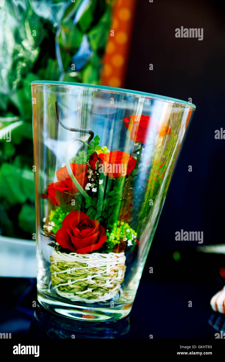 Transparent roses hi-res stock photography and images - Alamy