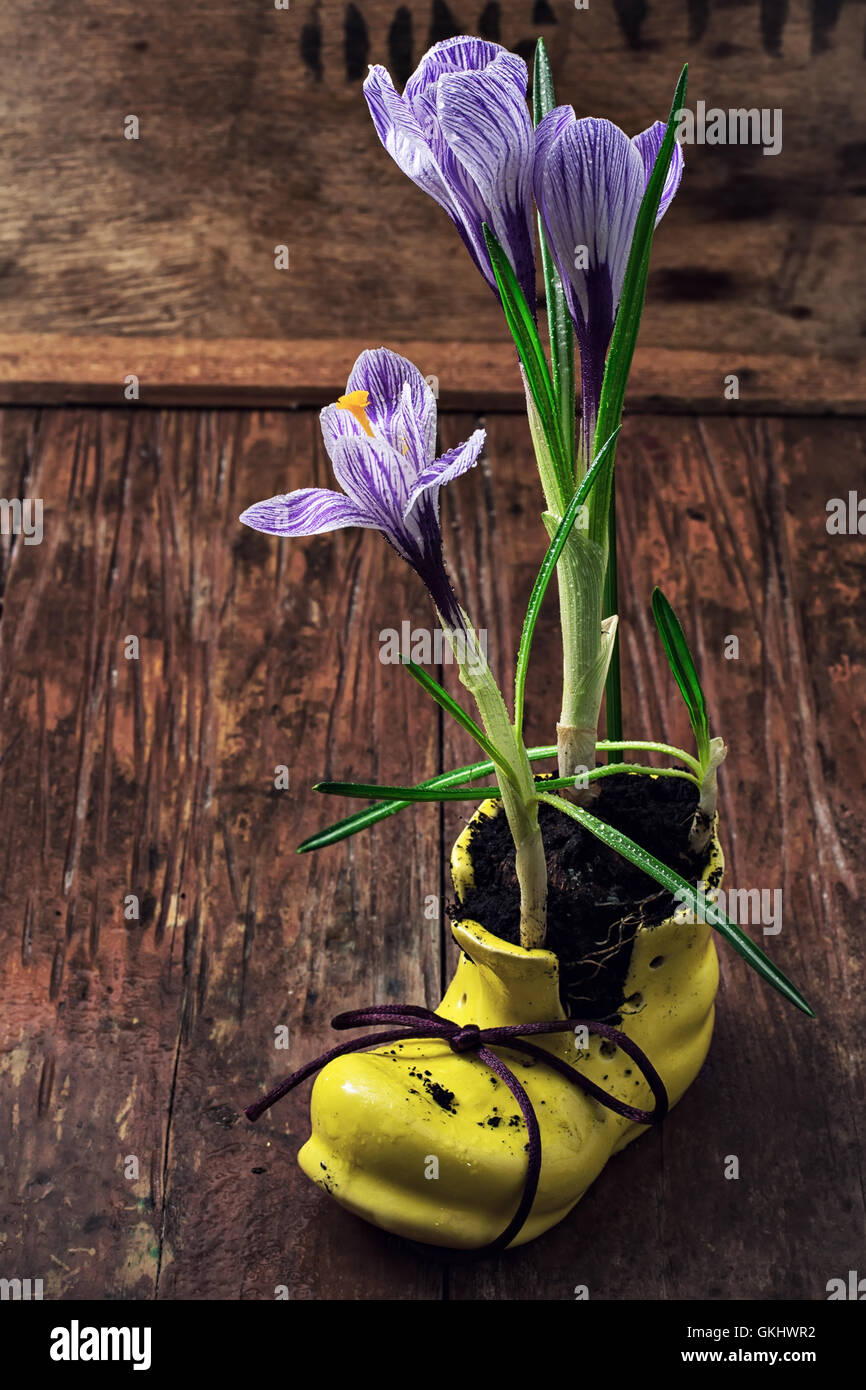 Nice beautiful spring and hi-res stock photography and images - Alamy