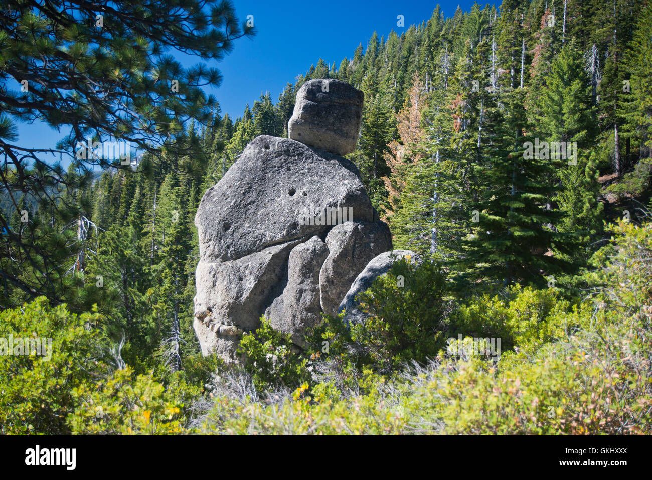 Beautiful rock formation pine hi-res stock photography and images - Alamy