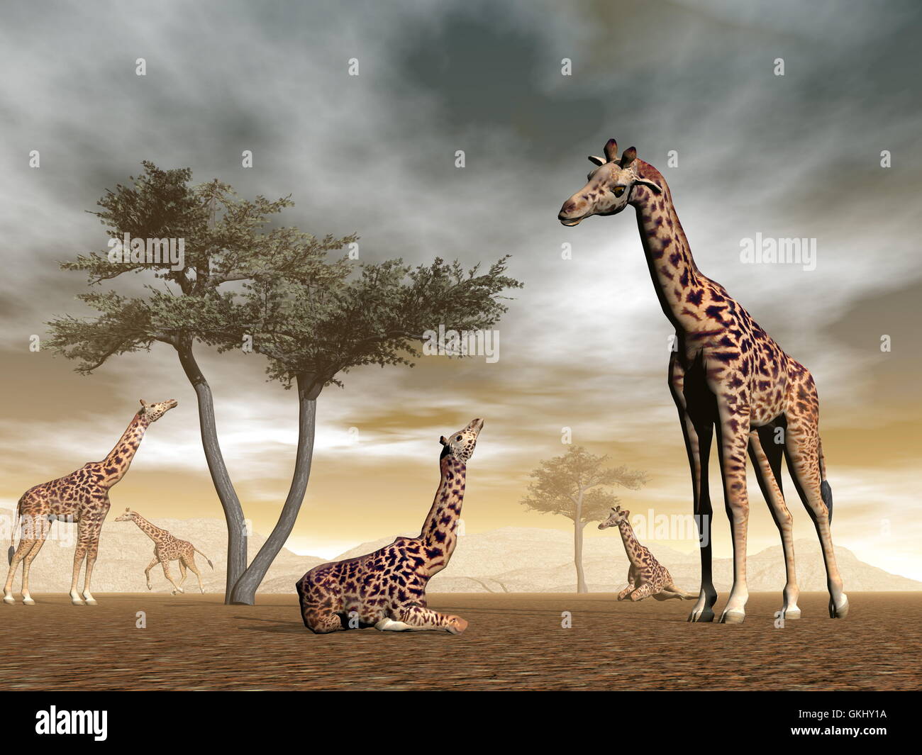 sunset africa safari Stock Photo - Alamy