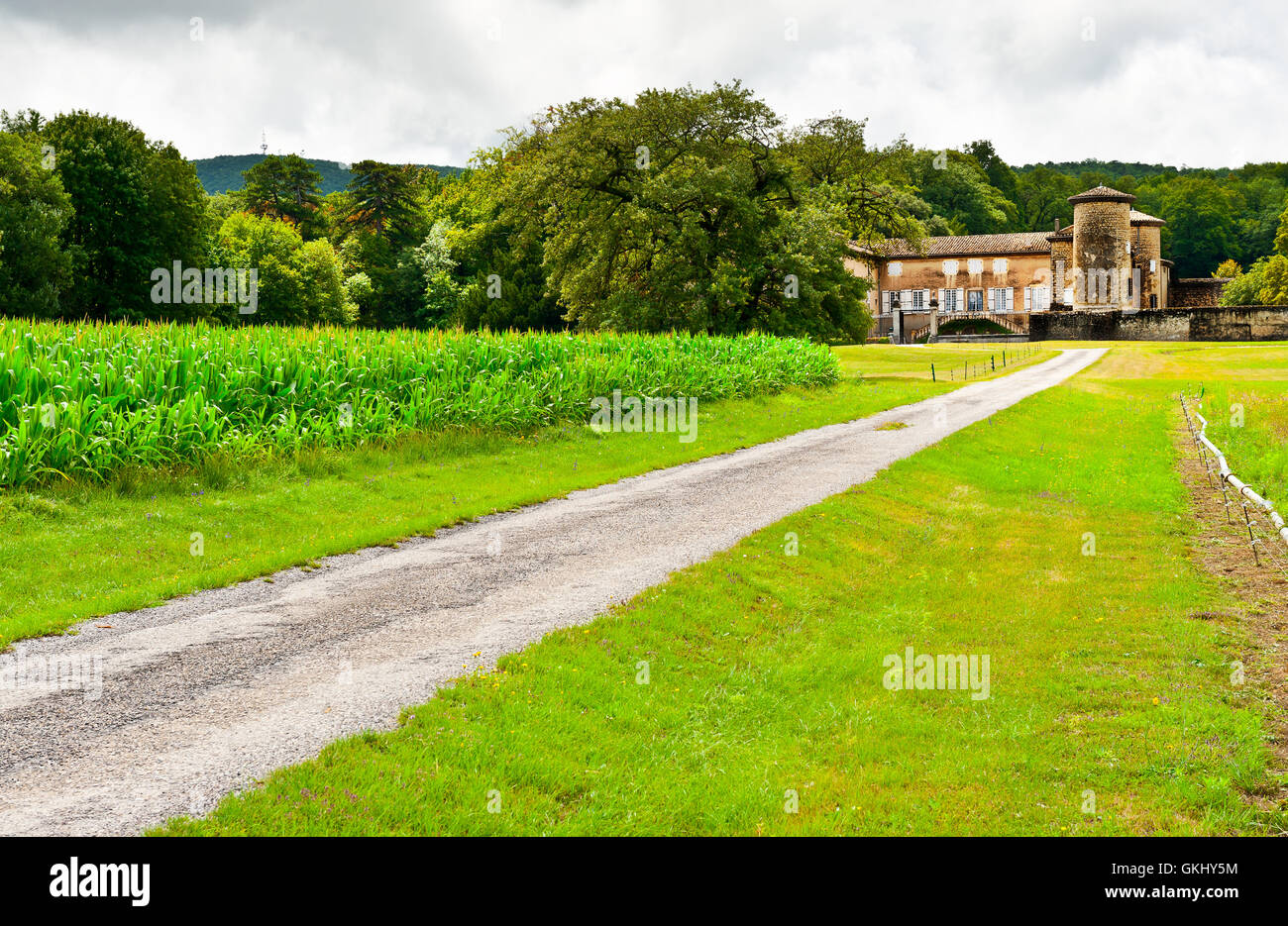 Corn field france path hi-res stock photography and images - Alamy