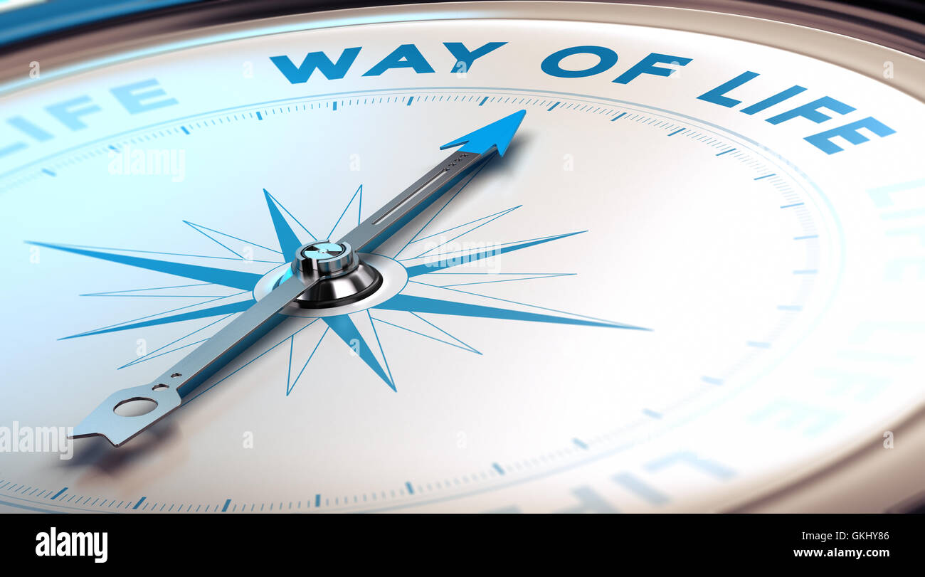 Management consultancy hi-res stock photography and images - Alamy