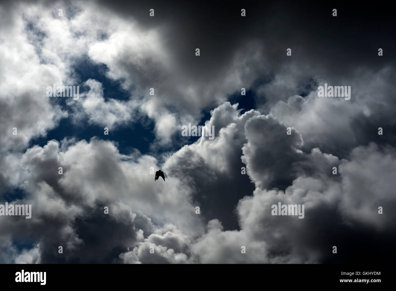 blue travel model Stock Photo - Alamy