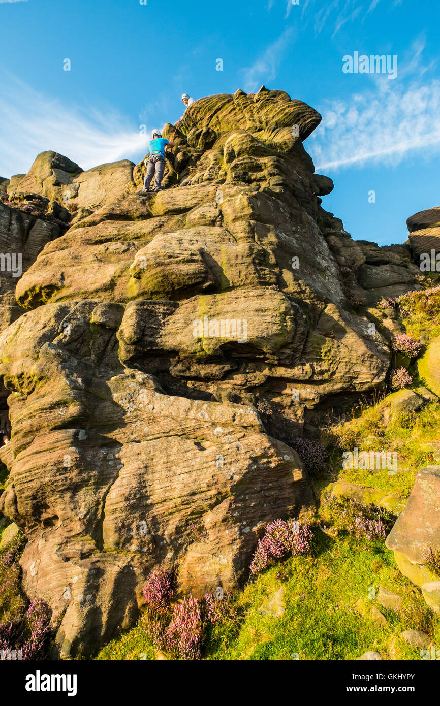 Two roaches hi-res stock photography and images - Alamy