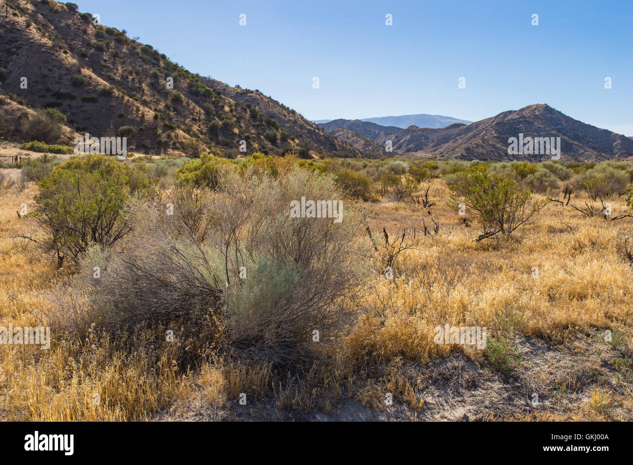 Gorman hills hi-res stock photography and images - Alamy