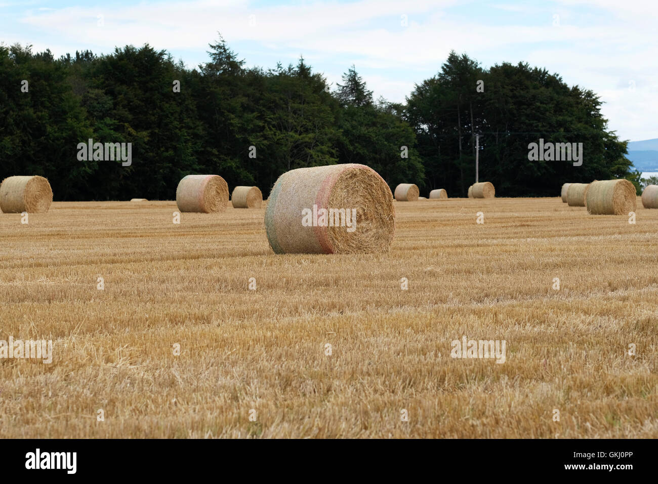 Scenes of rural Highlands in Scotland Stock Photo - Alamy