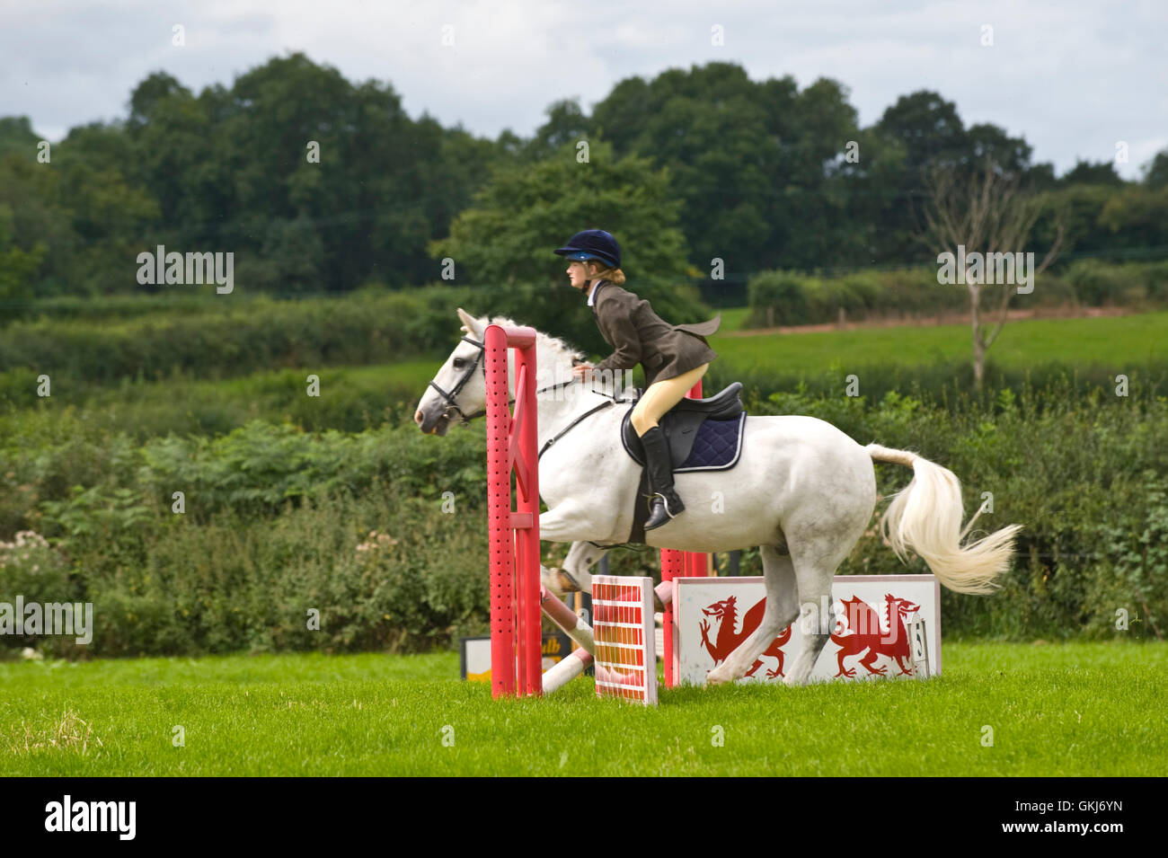 Teenage girl show jumping on her pony at Llanigon YFC Show 2016 nr Hay ...