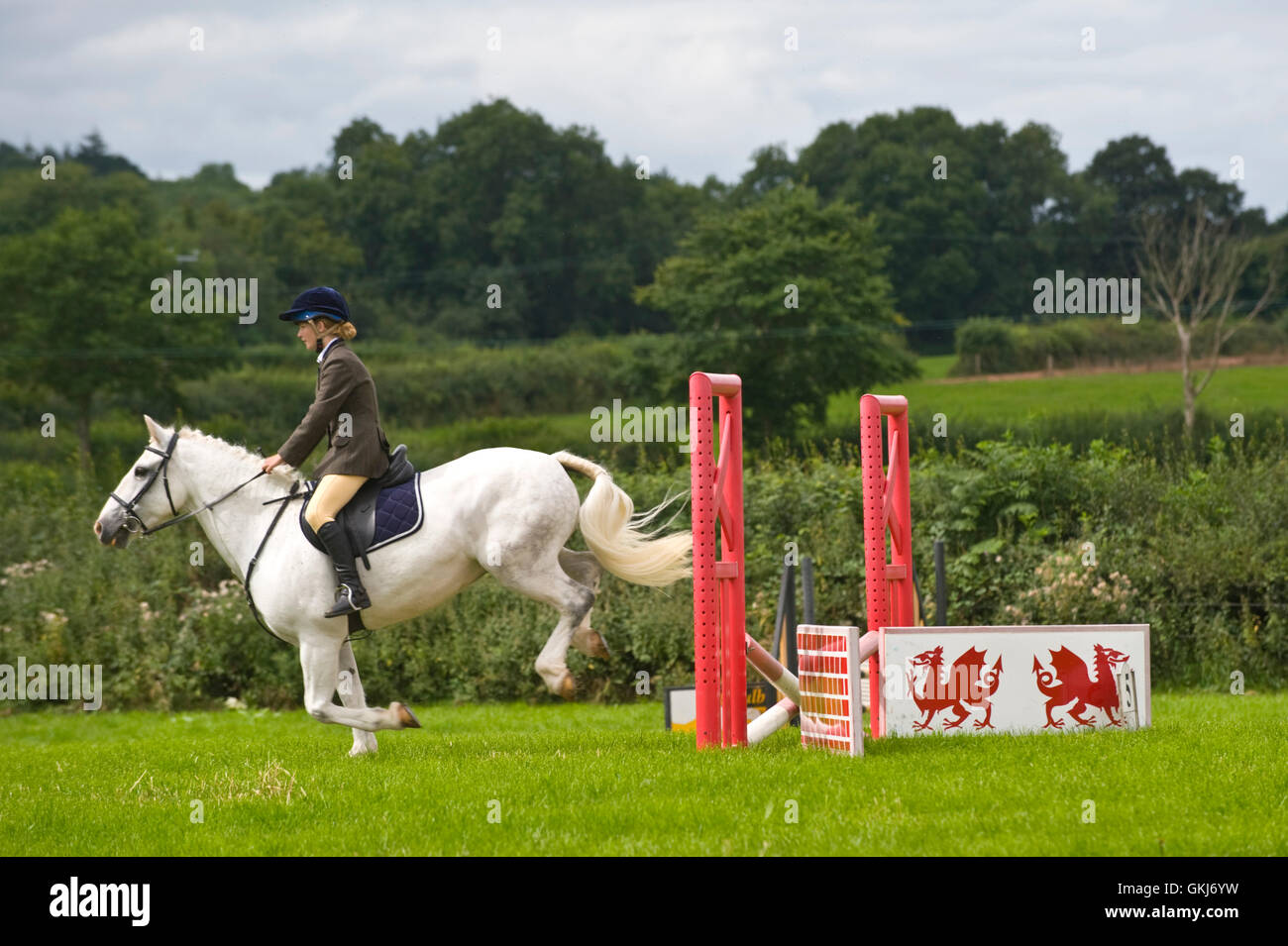 Teenage girl show jumping on her pony at Llanigon YFC Show 2016 nr Hay ...