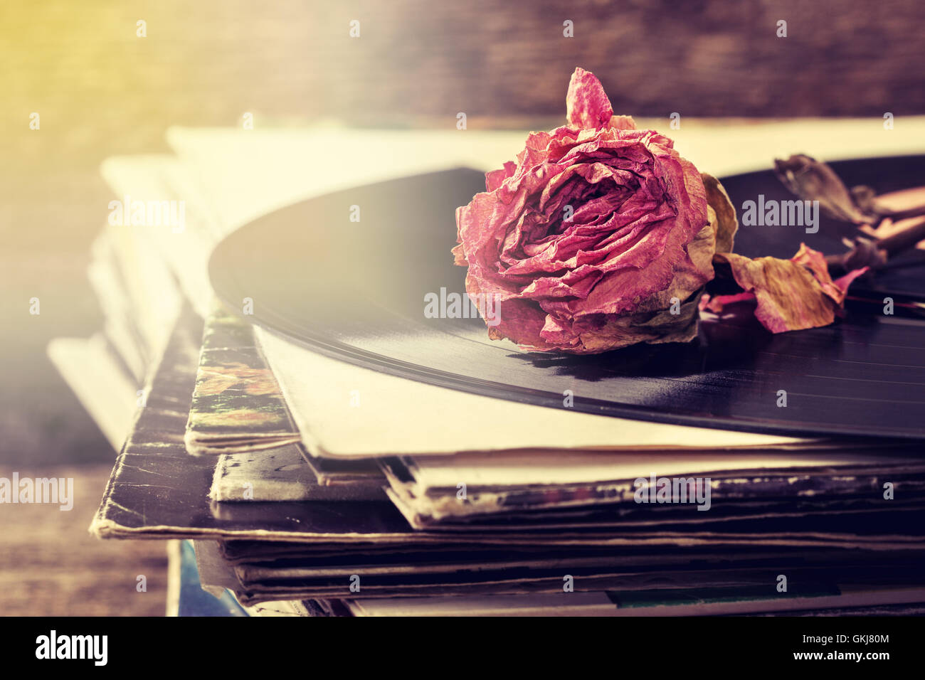 dry rose on a pile of old vinyl records in vintage style Stock Photo ...