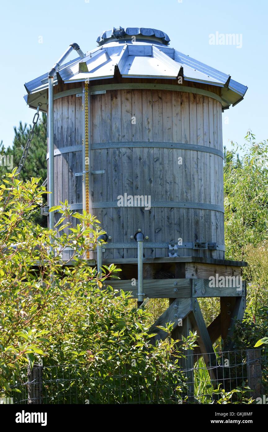Rain Collector in the Garden Stock Photo - Alamy