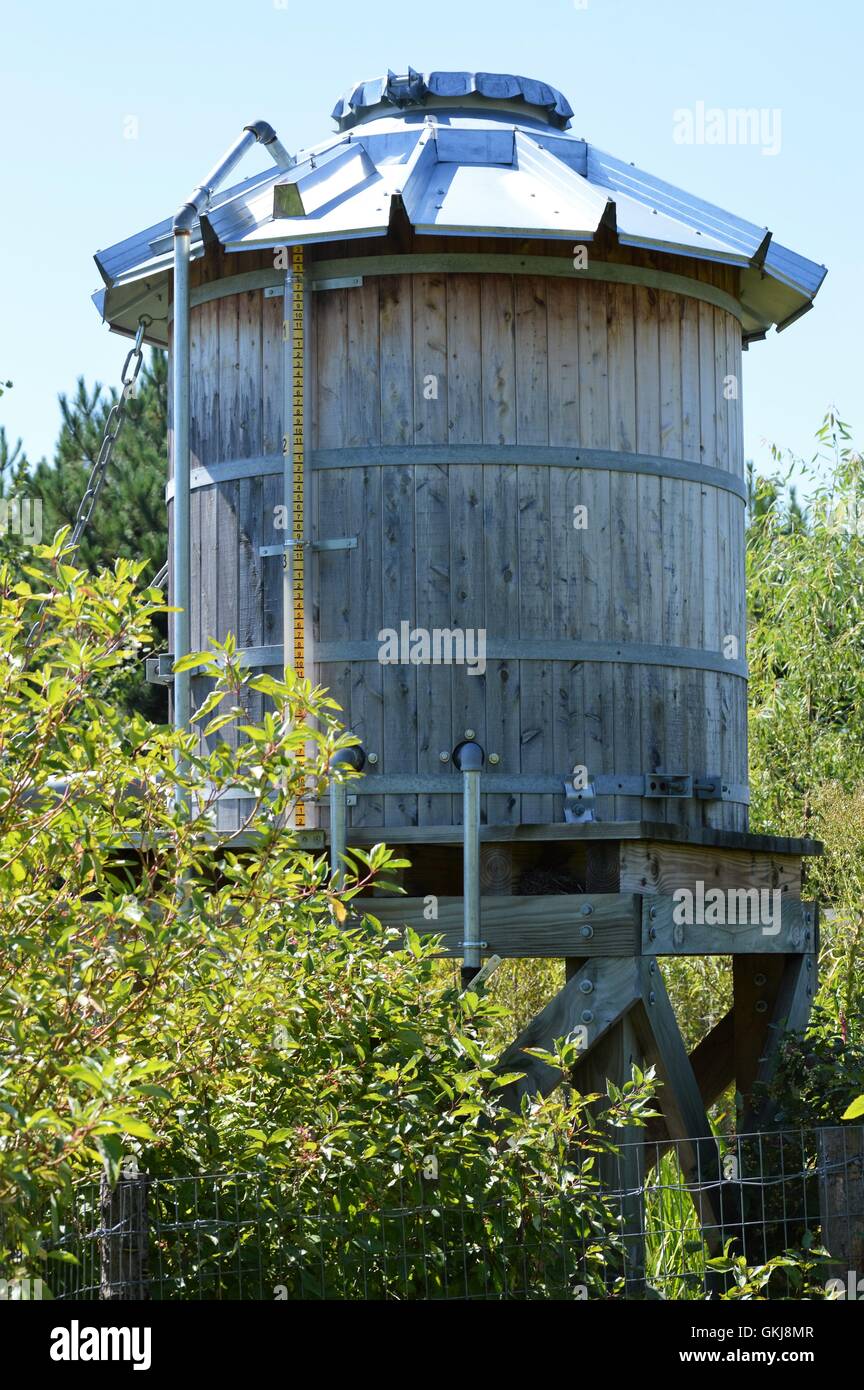 Rain Collector in the Garden Stock Photo - Alamy