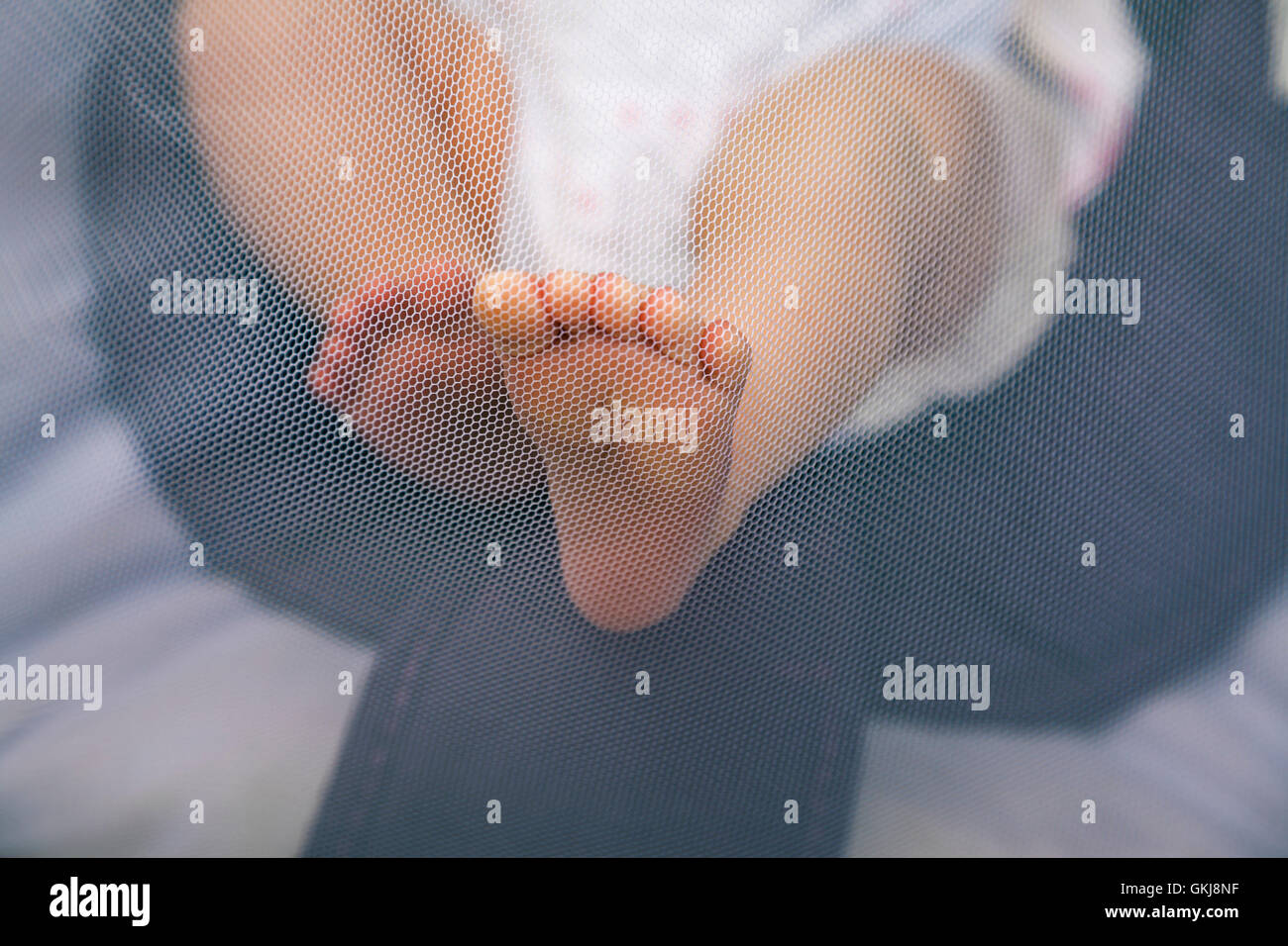 Newborn feet trapped and pushing a mosquito net Stock Photo - Alamy