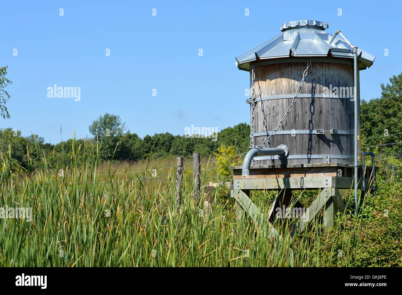 Rain Collector in the Garden Stock Photo - Alamy