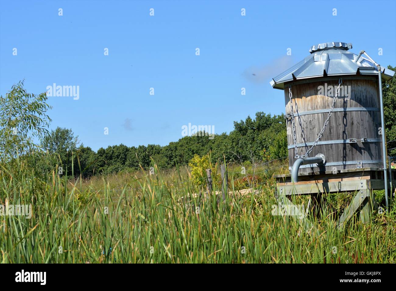 Rain Collector in the Garden Stock Photo - Alamy