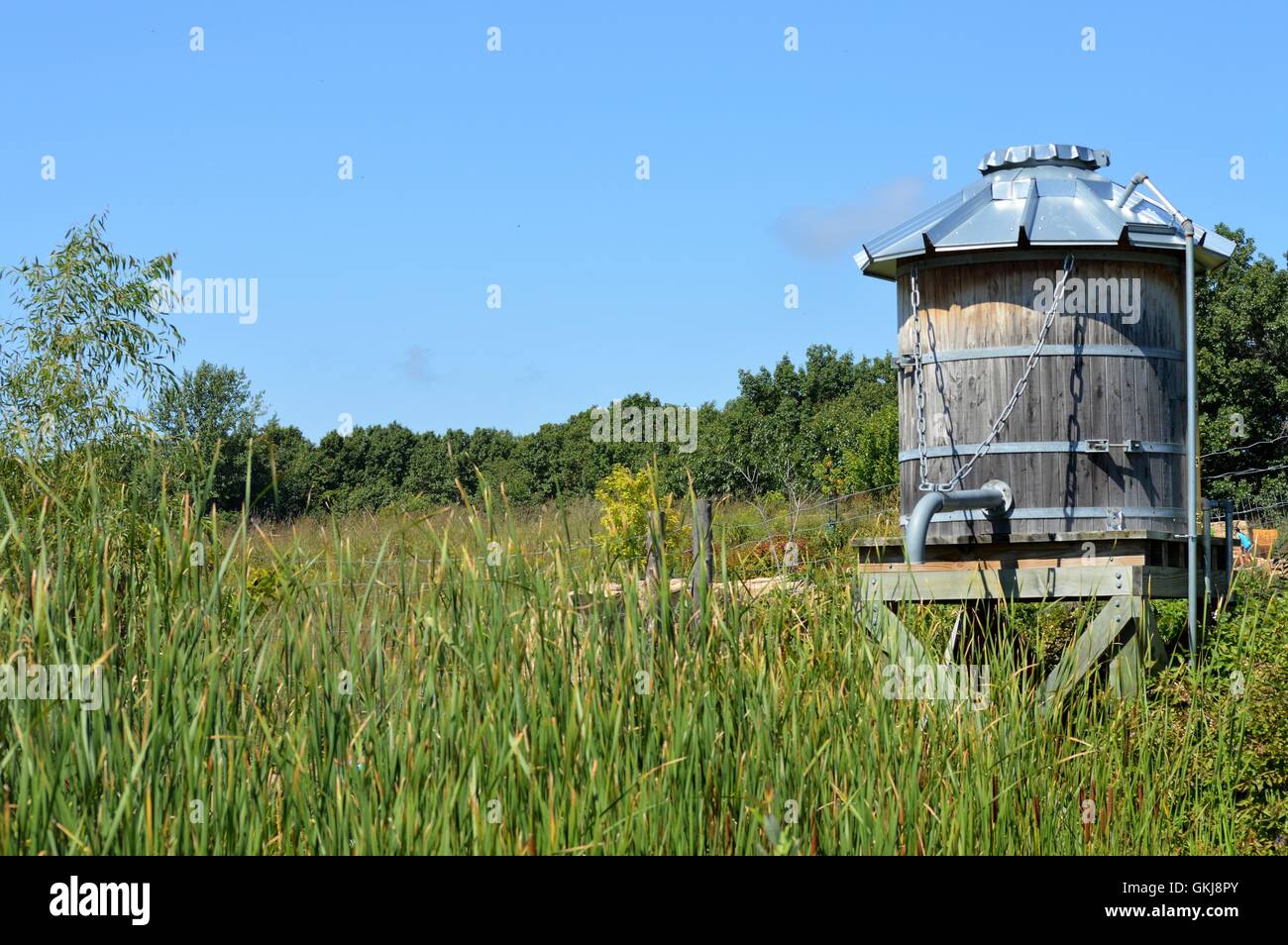 Rain Collector in the Garden Stock Photo - Alamy
