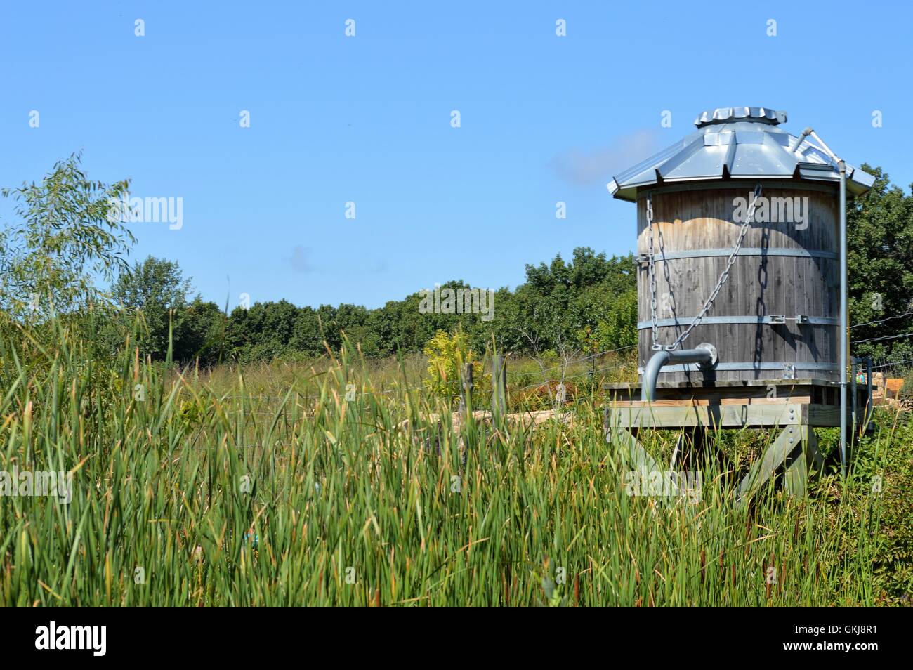 Rain Collector in the Garden Stock Photo - Alamy