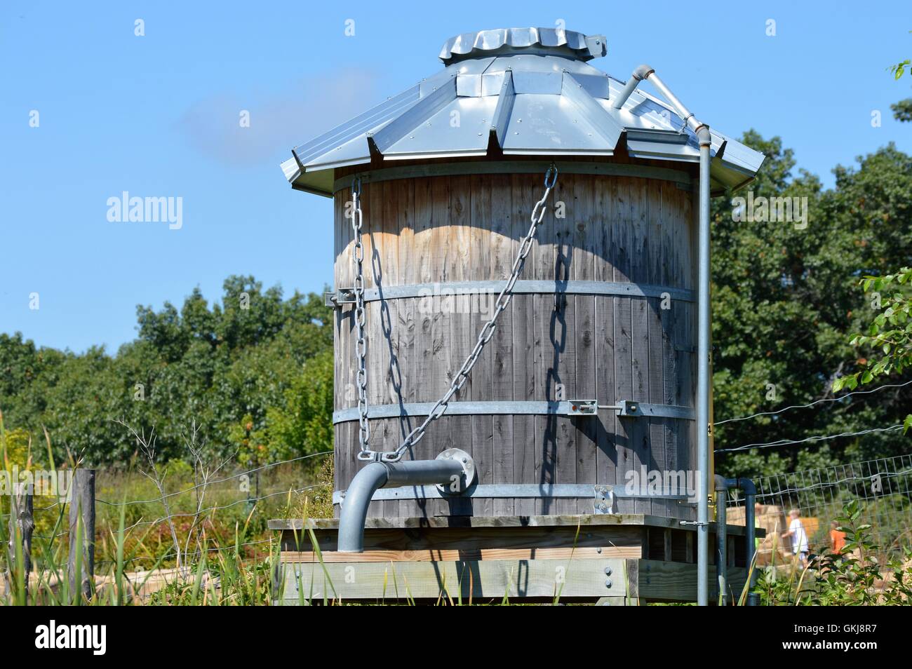 Rain Collector in the Garden Stock Photo - Alamy
