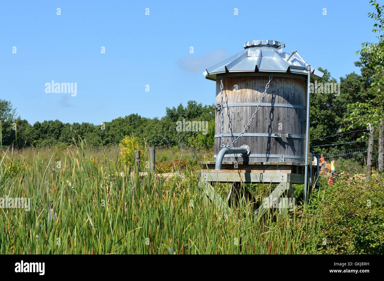 Rain Collector in the Garden Stock Photo - Alamy