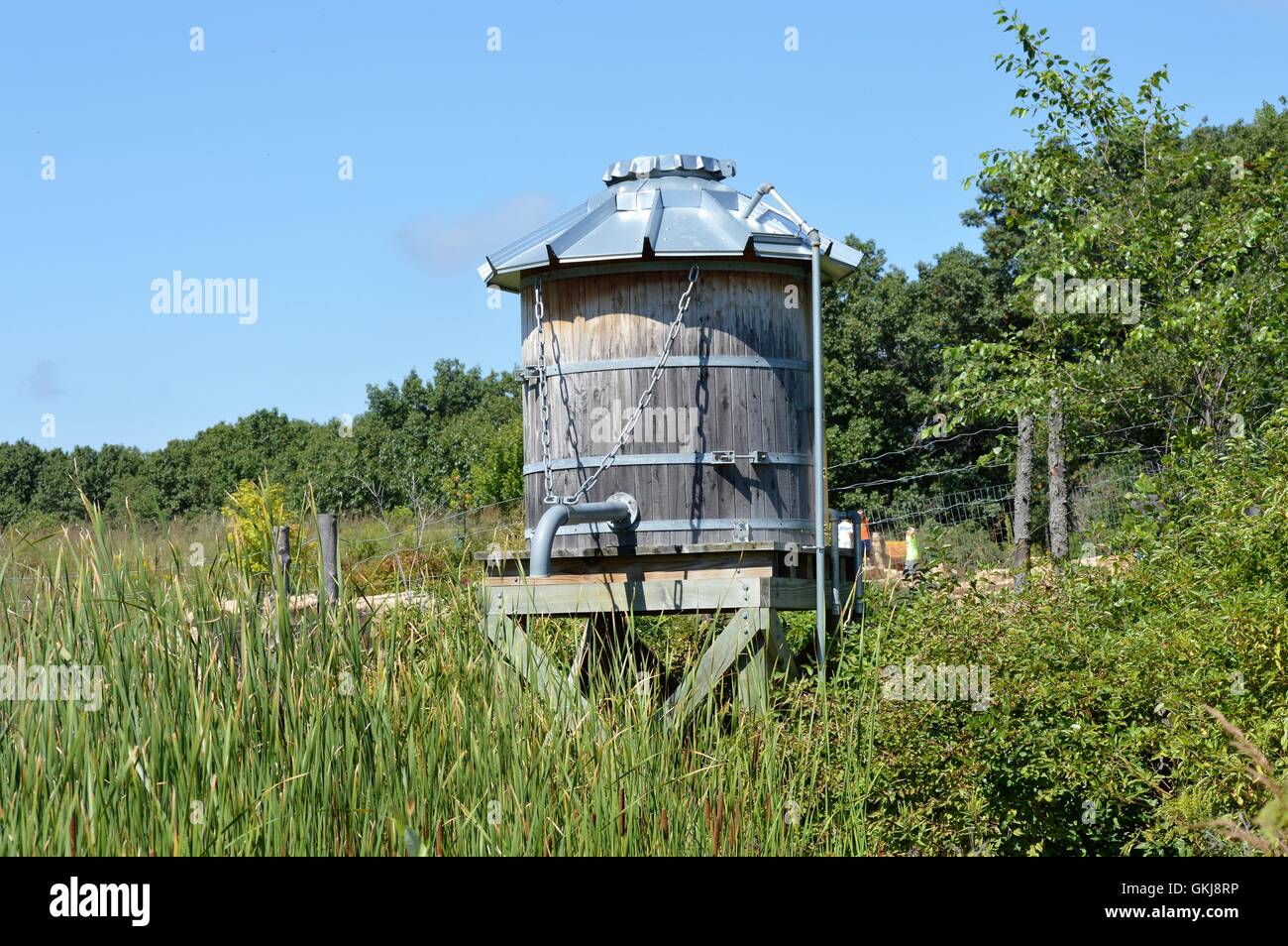 Rain Collector in the Garden Stock Photo - Alamy