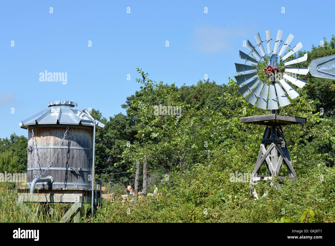 Weather Vane and Rain Collector Stock Photo - Alamy