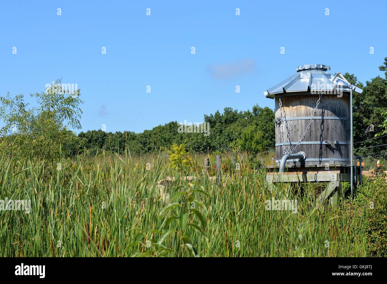 Rain Collector in the Garden Stock Photo - Alamy
