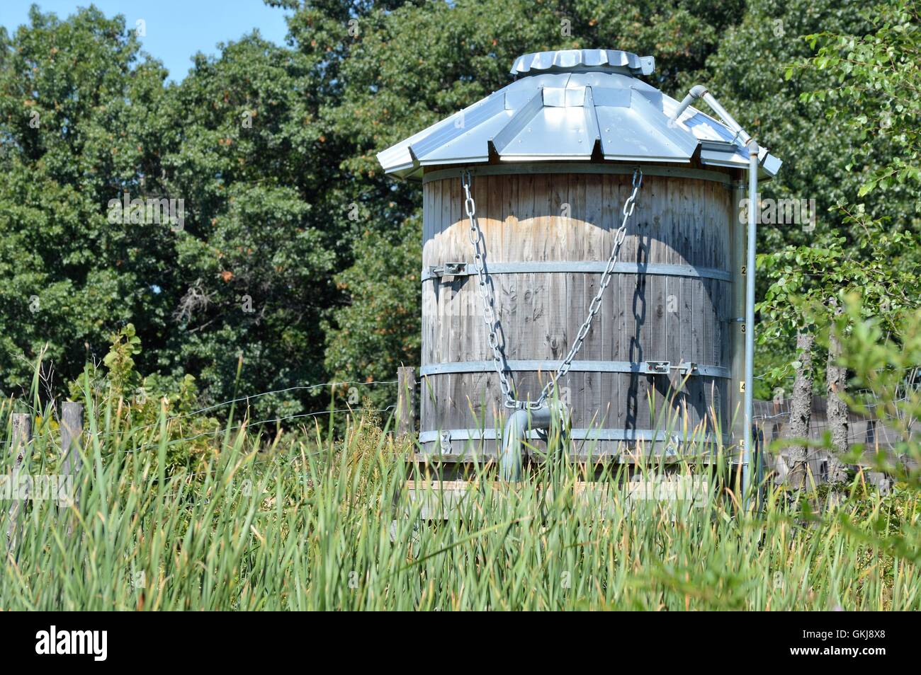 Rain Collector in the Garden Stock Photo - Alamy