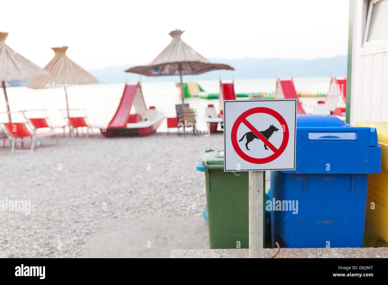No entry. Signs announcing the ban on dogs on the beach. (Shallow DOF ...