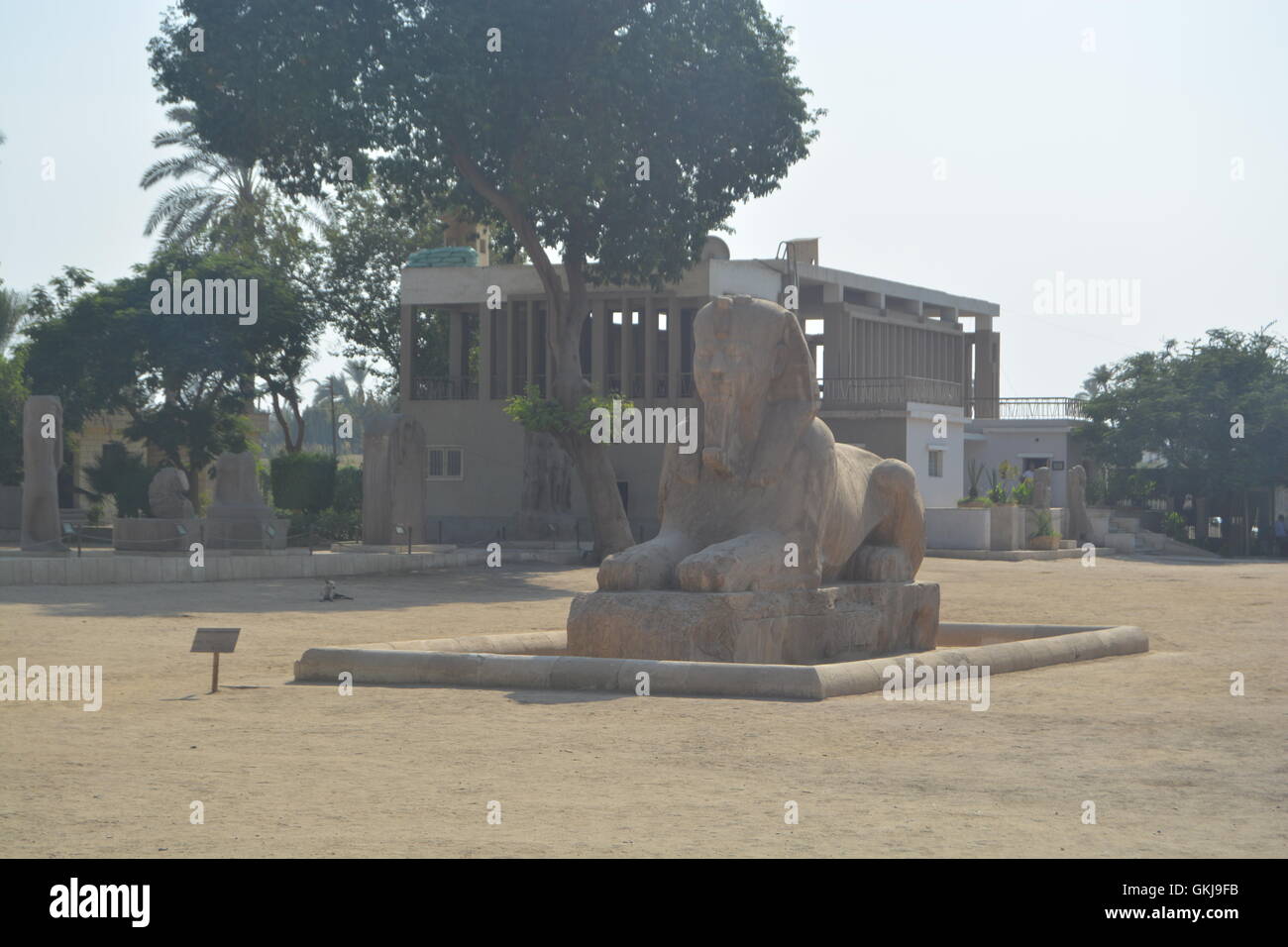 Memphis egypt hi-res stock photography and images - Alamy