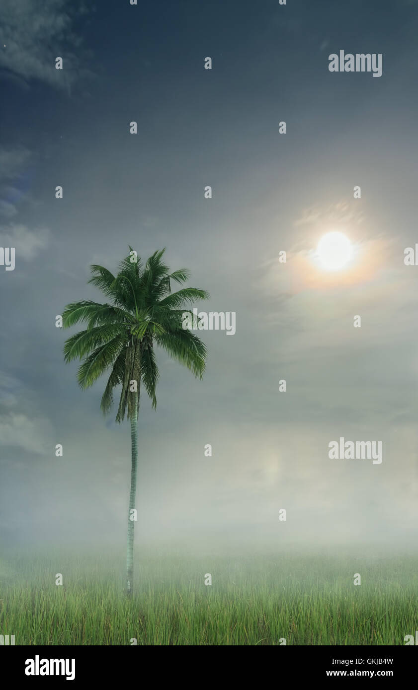 Coconut trees hi-res stock photography and images - Alamy