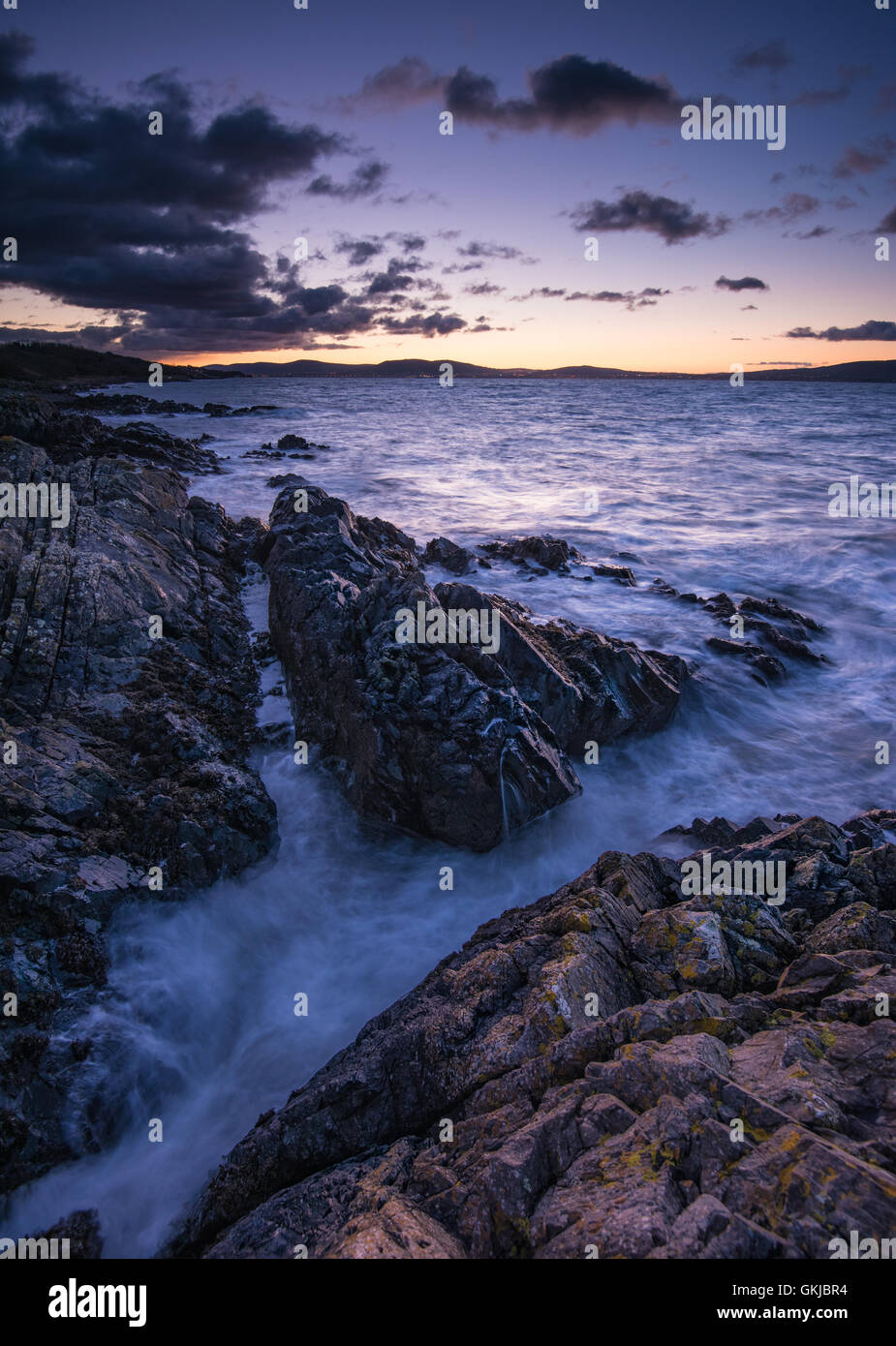 Point grey hi-res stock photography and images - Alamy