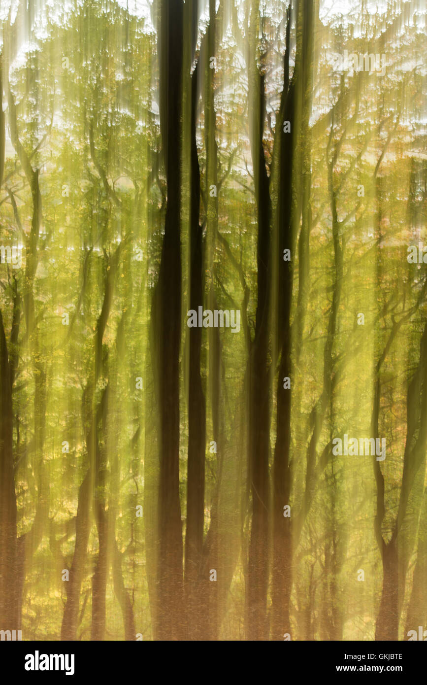 Autumn in Redburn Stock Photo - Alamy