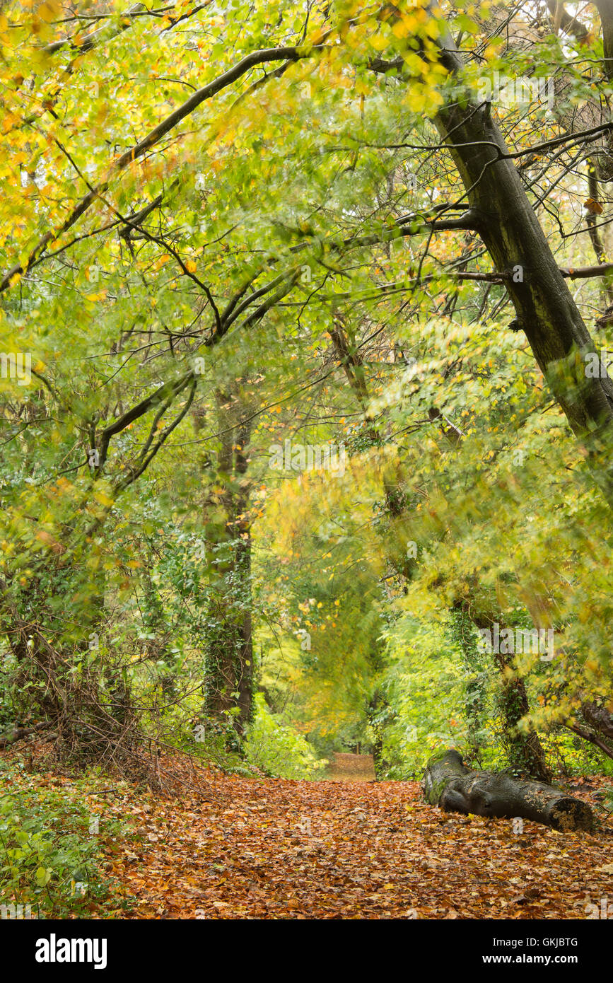 Redburn High Resolution Stock Photography and Images - Alamy