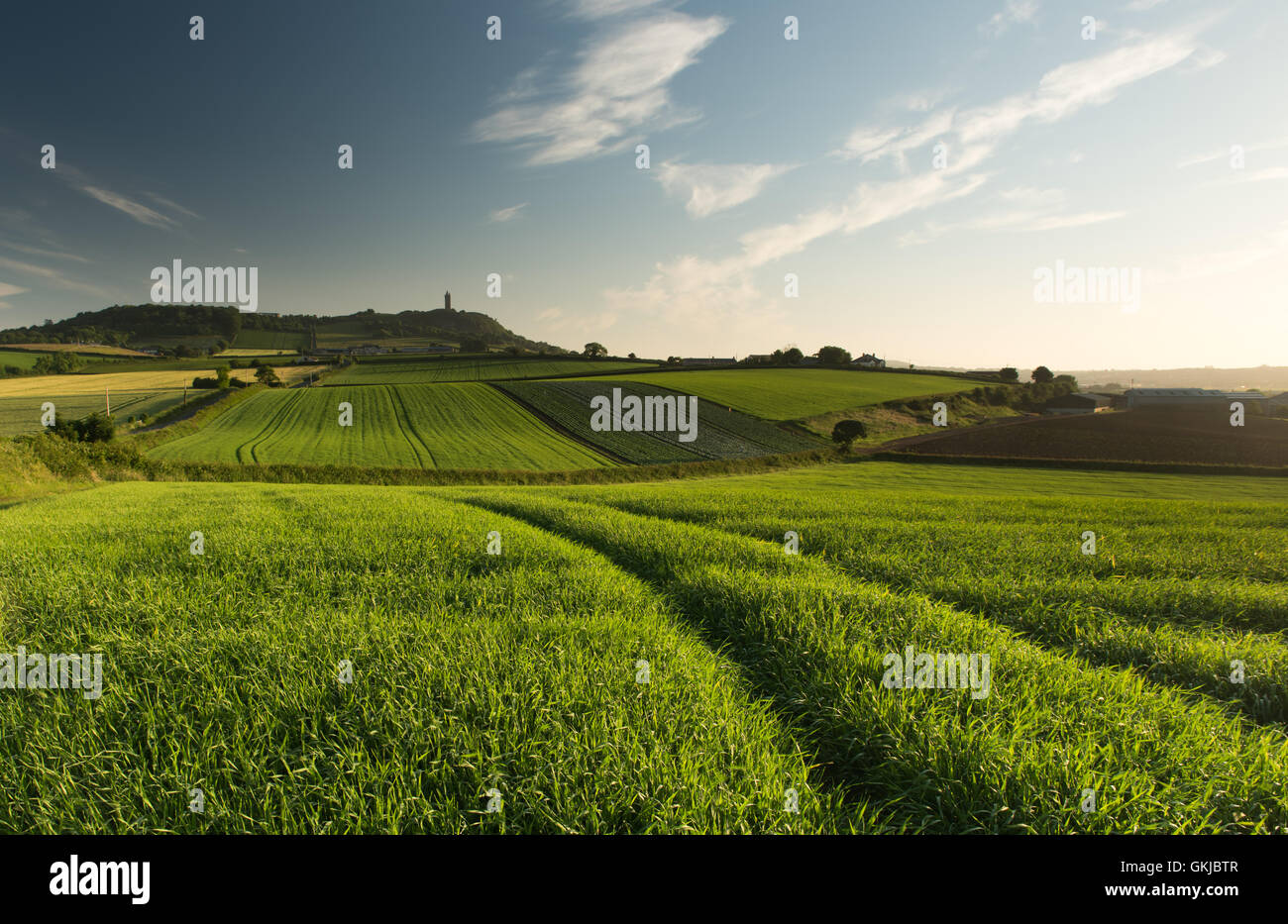 Scrabo tower hi-res stock photography and images - Alamy
