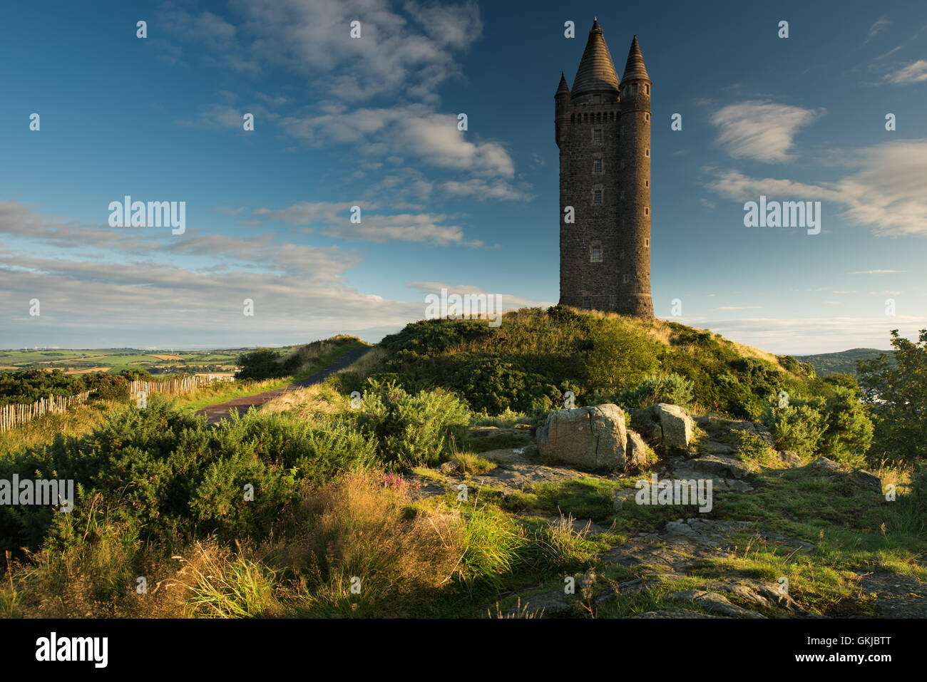 Scrabo tower hi-res stock photography and images - Alamy