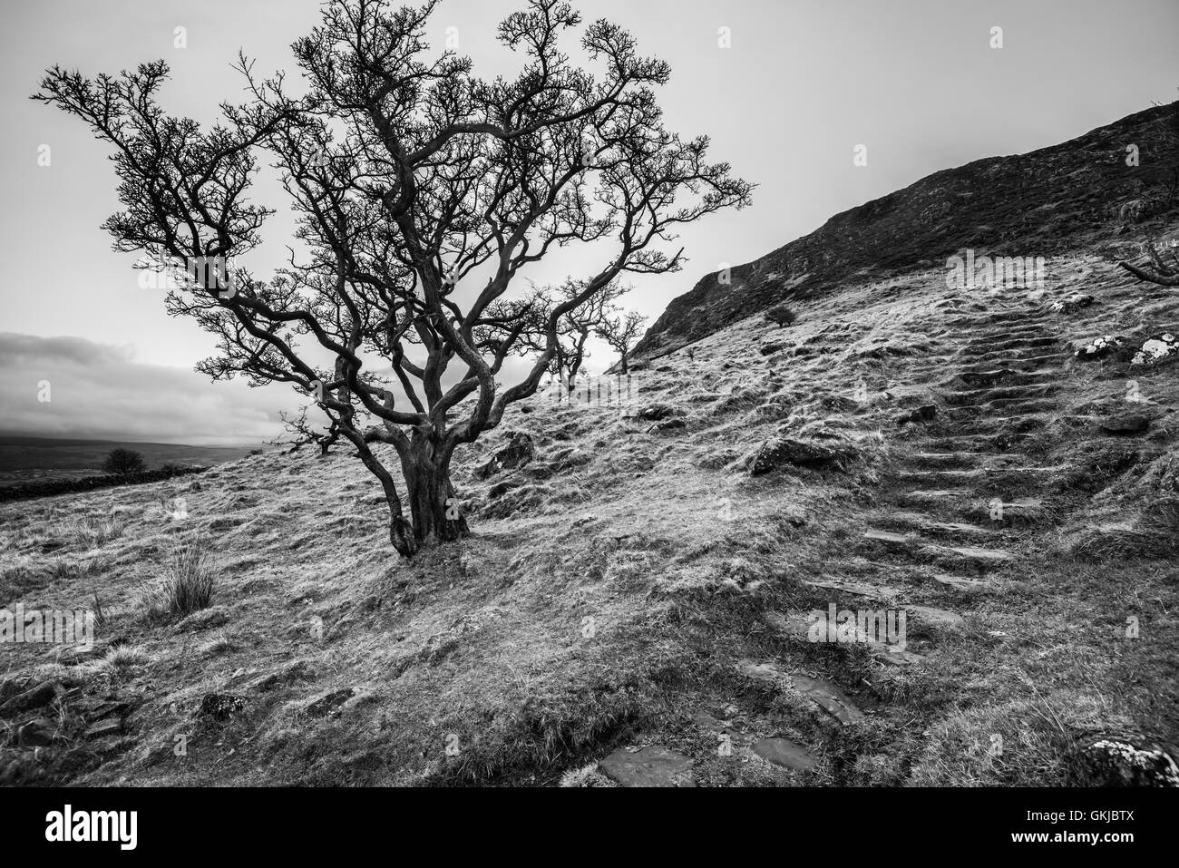 Slemish hi-res stock photography and images - Alamy