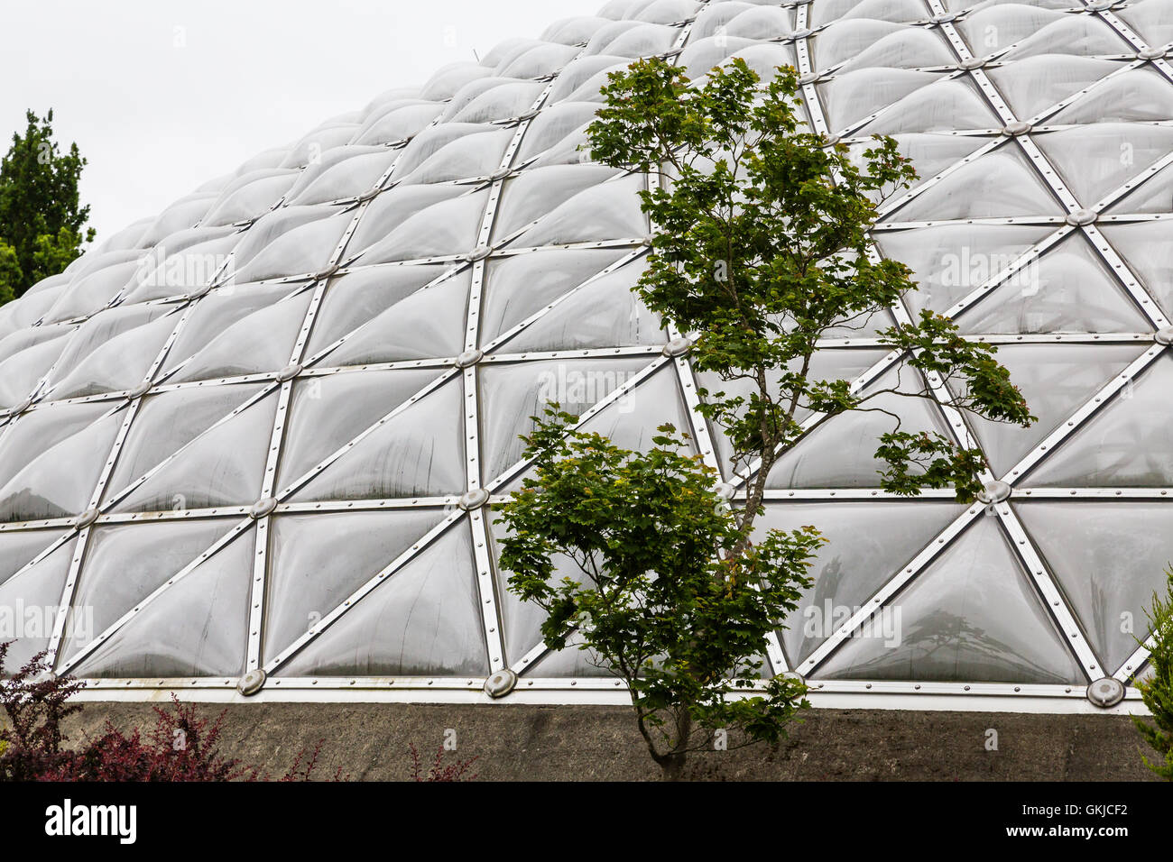 Geodesic dome hi-res stock photography and images - Alamy