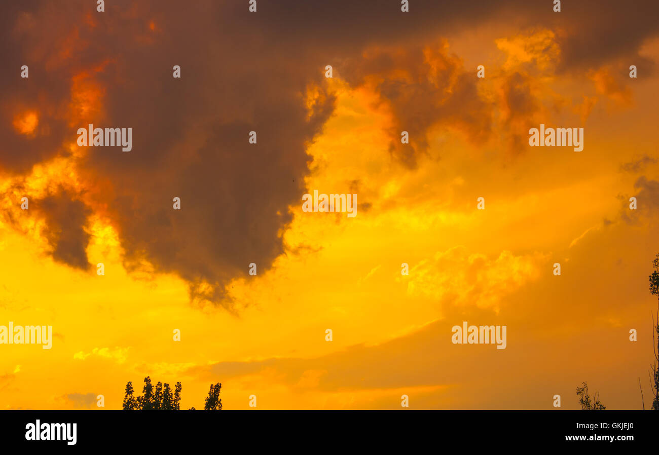 landscape with dramatic light - orange clouds and the outline of trees ...