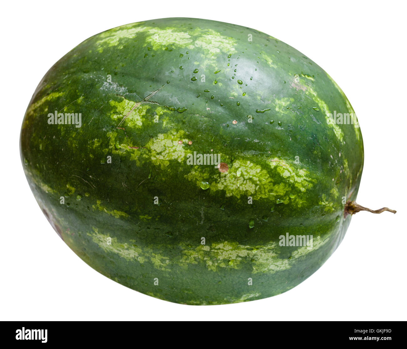 ripe whole watermelon isolated on white background Stock Photo - Alamy
