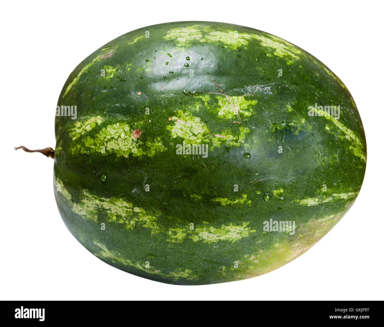 side view of ripe whole watermelon isolated on white background Stock ...