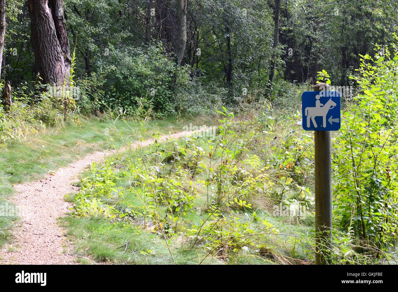 Horse Riding Path Stock Photo - Alamy